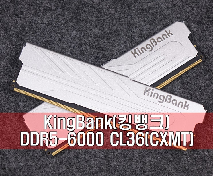 CXMT 칩이 적용된 초가성비 DDR5! 킹뱅크 DDR5-6000 CL36(CXMT) : 네이버 블로그