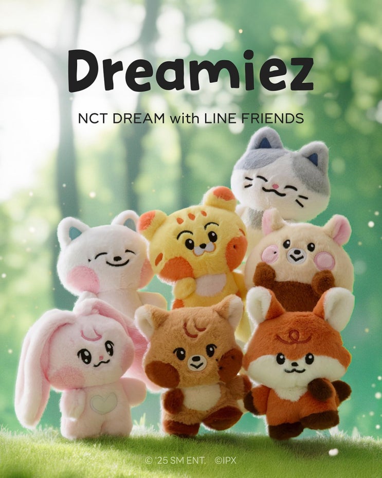 엔시티드림 굿즈 라인프렌즈 콜라보 Dreamies / NCT DREAM with Line friends : 네이버 블로그
