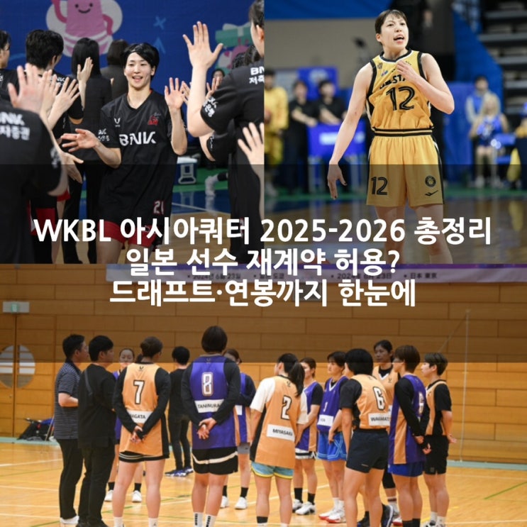 WKBL 아시아쿼터 2025-2026 총정리｜일본 선수 재계약 허용? 드래프트·연봉까지 한눈에 : 네이버 블로그