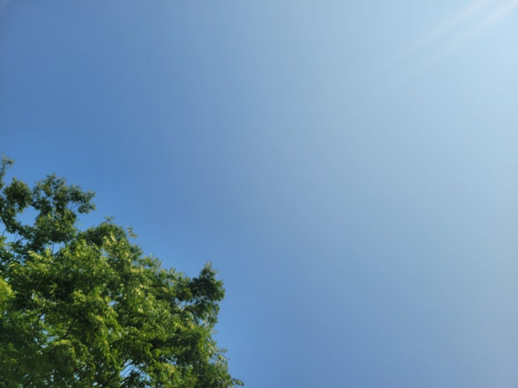 떡방일기 [ 2025년 5월 29일 ] : 네이버 블로그