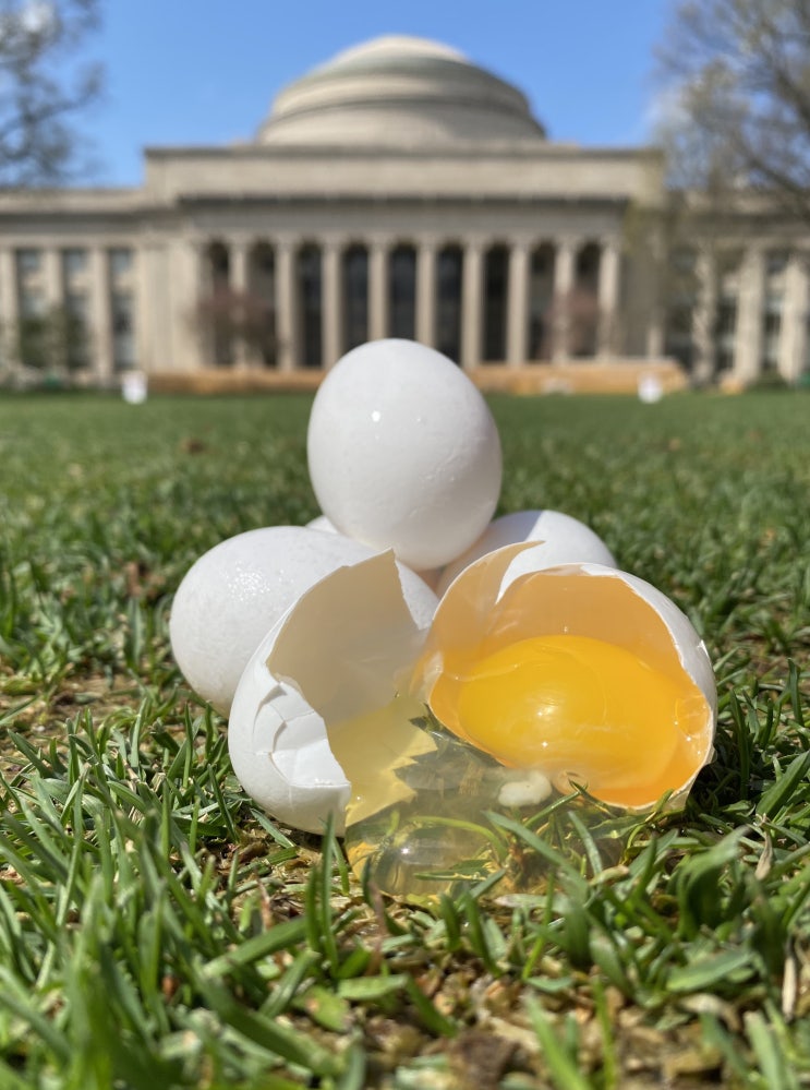 달걀은 수평으로 떨어질 때 덜 깨진다 : 네이버 블로그