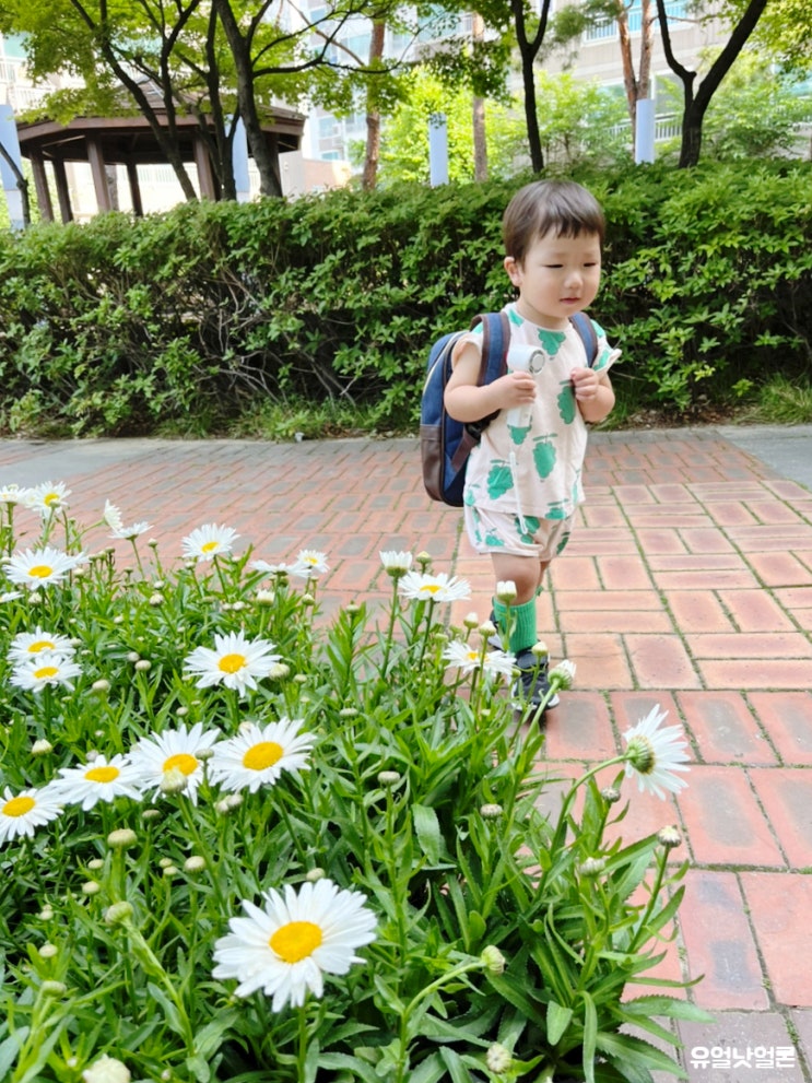 어린이집 상담 학부모상담 질문 느낀점 / 24개월아기 육아일기 : 네이버 블로그