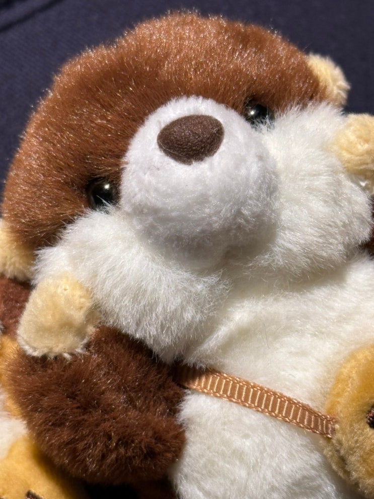 귀여우면 다지 모 .. : 네이버 블로그