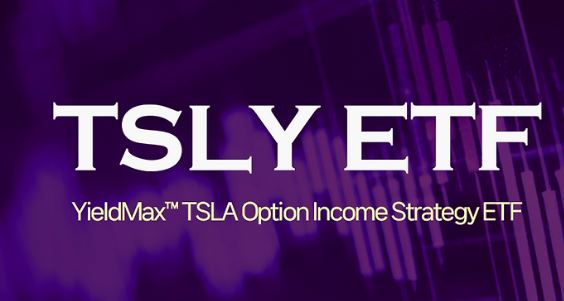 TSLY 6월 배당금 예상 핵심 포인트 : 네이버 블로그