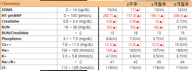 고양이 만성신부전 관리 (3) / 만성신장질환 / CKD / IRIS stage / NT-proBNP / 고양이 심장병 / 피하 ...