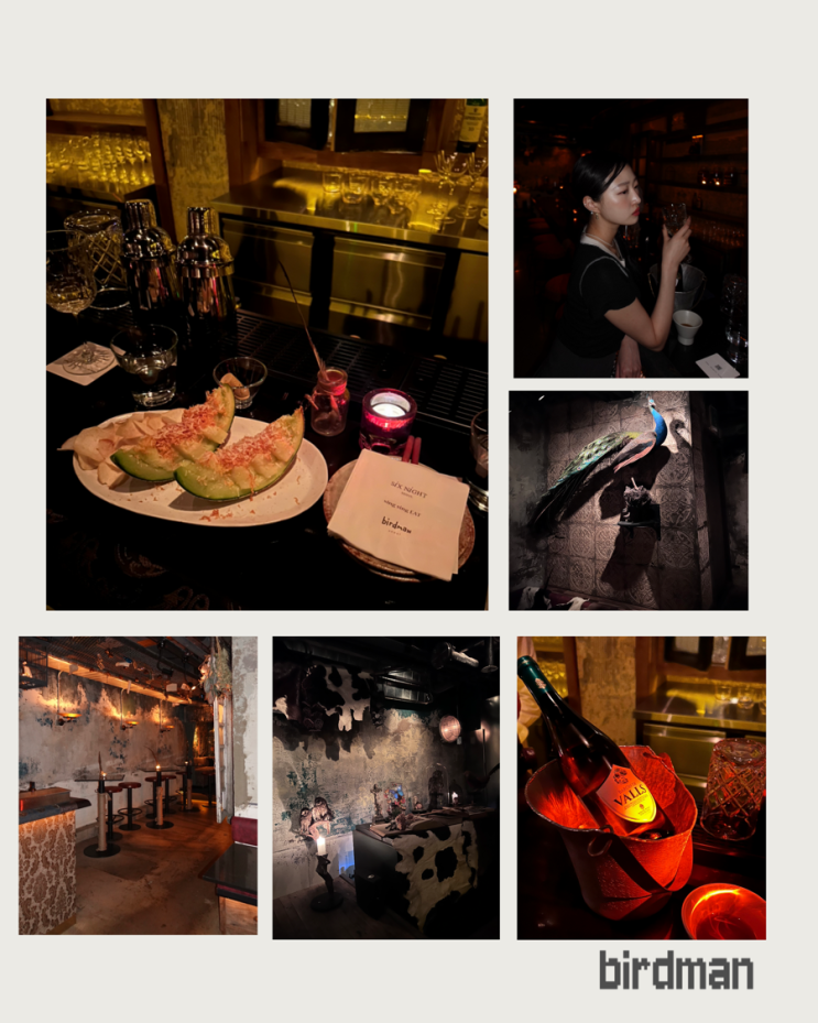 [버드맨 신사]가로수길 데이트추천 은밀한 분위기의 스피크이지바/압구정 식스나잇, 제주 싱싱잇에 이은 새로운 컨셉의 바 추천 ...