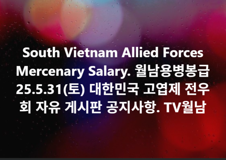 South Vietnam Allied Forces Mercenary Salary : 네이버 블로그