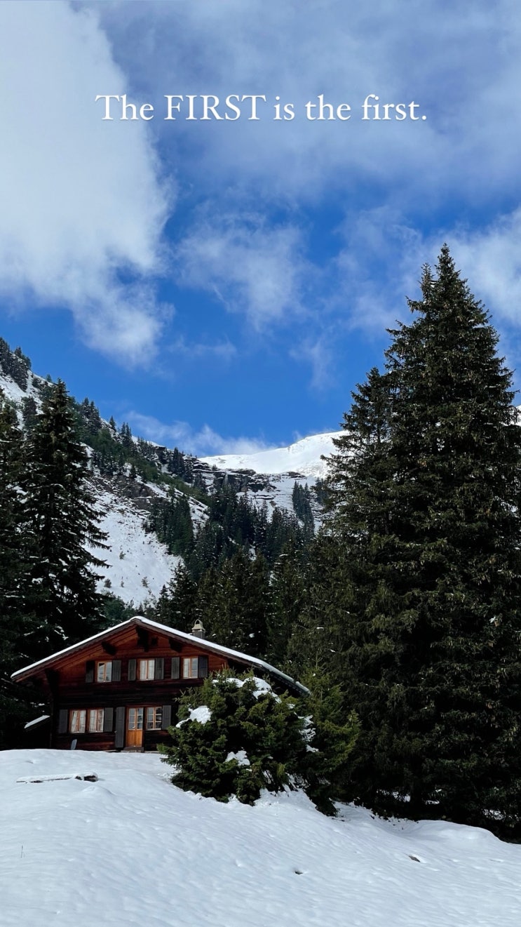 Day4_스위스 vip 패스,스위스 융프라우 vip 패스 구매법, 피르스트 가는 법, 피르스트 9월 후기,바흐알프제 호수, First cliff : 네이버 블로그