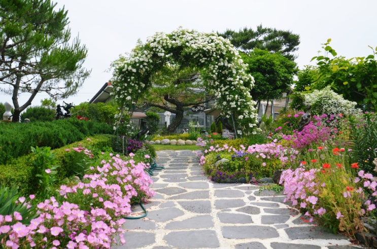 생활 속 예쁜 정원 : 네이버 블로그