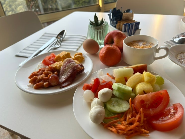 [베니스 여행] ATVO 셔틀버스, 메스트레역, 호텔 플라자 베니스 조식, 베네치아 수상버스 후기 : 네이버 블로그