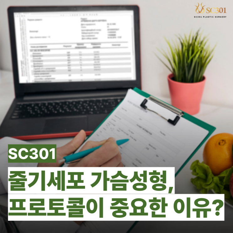SC301 줄기세포 가슴성형, 왜 프로토콜이 중요한가요? : 네이버 블로그