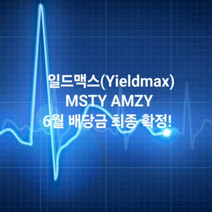일드맥스(Yieldmax) MSTY AMZY 6월 배당금 최종 확정! : 네이버 블로그