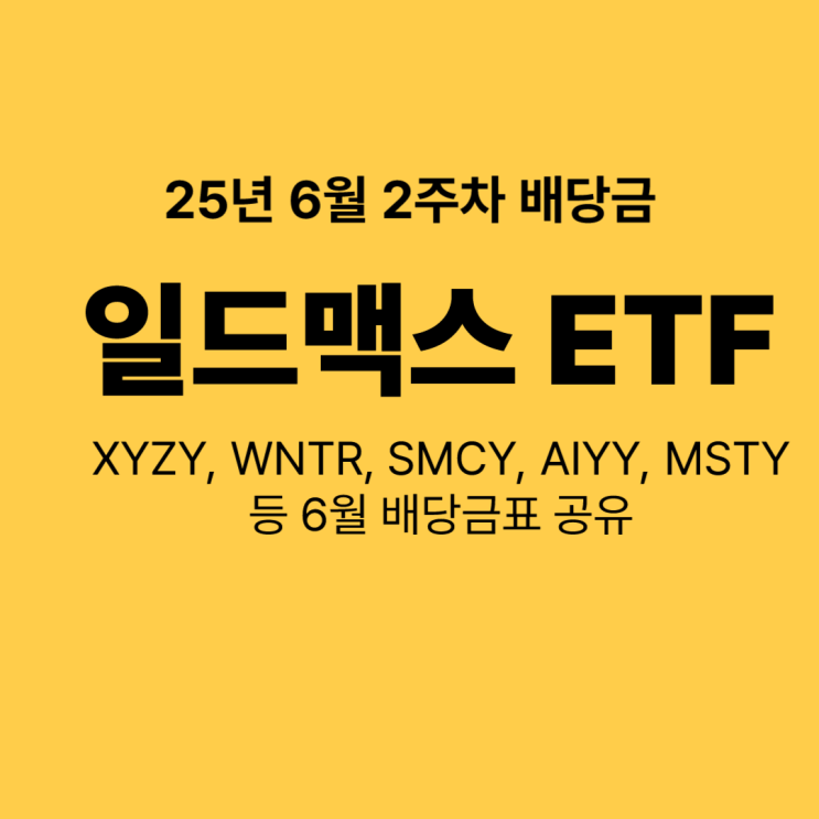 일드맥스 MSTY, XYZY, WNTR, SMCY, AIYY 등 6월 2주차 그룹 배당금 공유 : 네이버 블로그