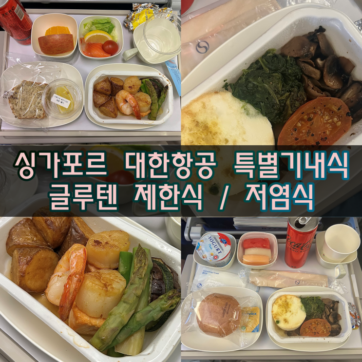 싱가포르 대한항공 이코노미 일반석 기내식 특별기내식 글루텐제한식 저염식 KE647 KE646 : 네이버 블로그