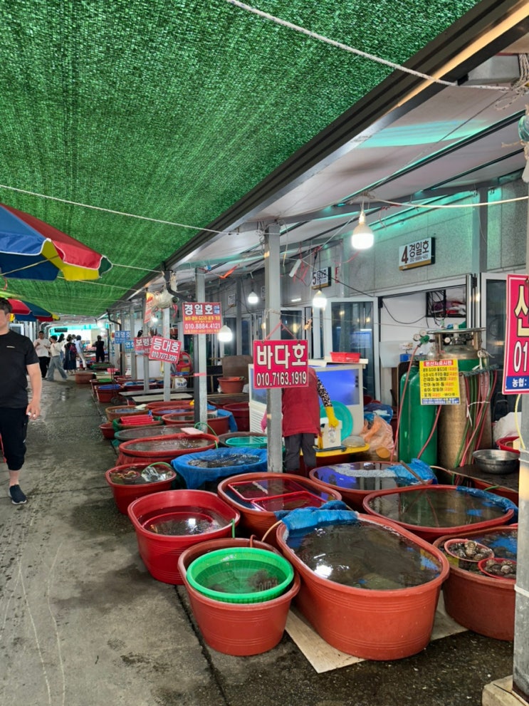 [시흥 오이도 여행] 저렴한 가격에 싱싱한 해산물 먹을 수 있는 노상포차 '난전시장' 내돈내산 포장 후기 (위치, 영업 시간 ...