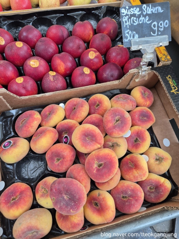 롯데관광 스위스 5박 7일 패키지 6일차(루체른 시내 관광, 빈사의 사자상, 롯데관광 특식 퐁듀, 귀국) : 네이버 블로그