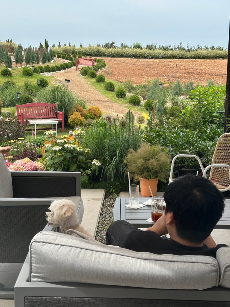 고창 애견동반 카페 | 넓은 부지의 볼거리 많은 예쁜 카페 백운26 : 네이버 블로그