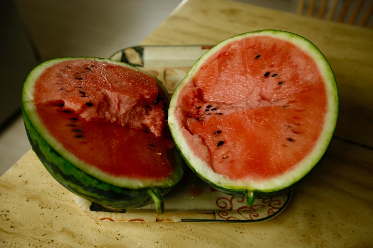 수박과 CD : 네이버 블로그