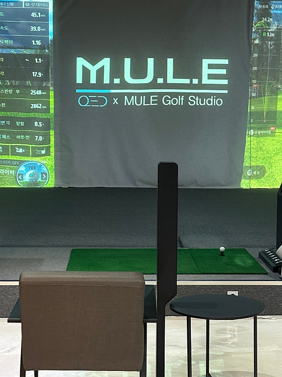 프리미엄 실내 골프의 모든 것, QED 뮬 골프 스튜디오 : 네이버 블로그