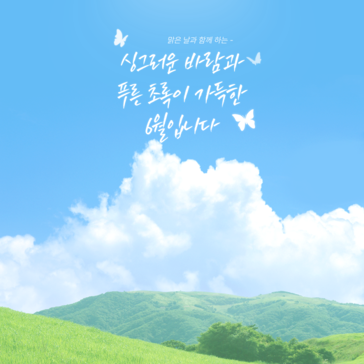 6월인사말 여름 메세지 하지 고객 문자 발송 인사말 문구 글귀 이미지 포함 네이버 블로그