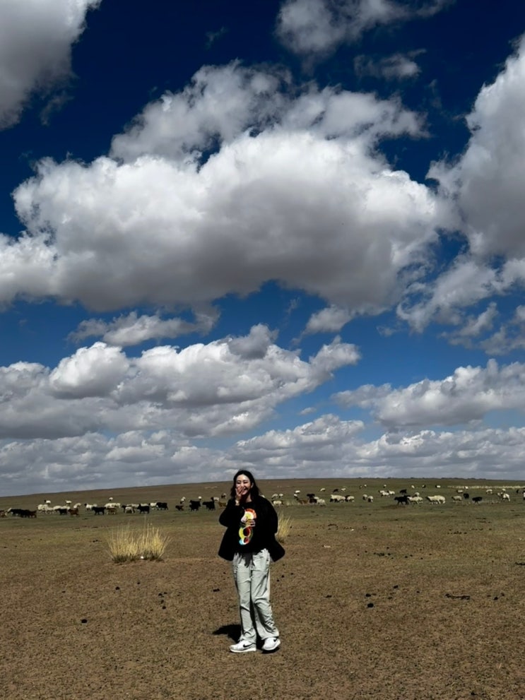 [mongol] 몽골여행 Day2. (나란투울 호텔, 몽골식 음식, 투어_오기호수, 별구경) : 네이버 블로그