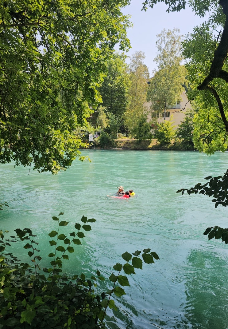 2024년 7월 [스위스] 베른 "Freibad Marzili" 아레강(Aare River)에 빠지다! #25 : 네이버 블로그