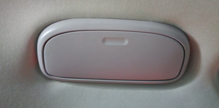 [튜닝] 25.06.09 카니발 ka4 선글라스 케이스 Diy : 네이버 블로그