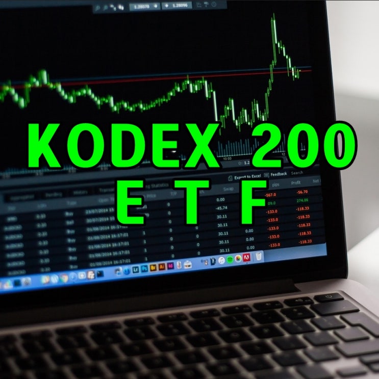 KODEX 200 ETF는 시가 총액 4위 그리고 수익률은 663% ? (feat. 주가와 배당금까지) : 네이버 블로그