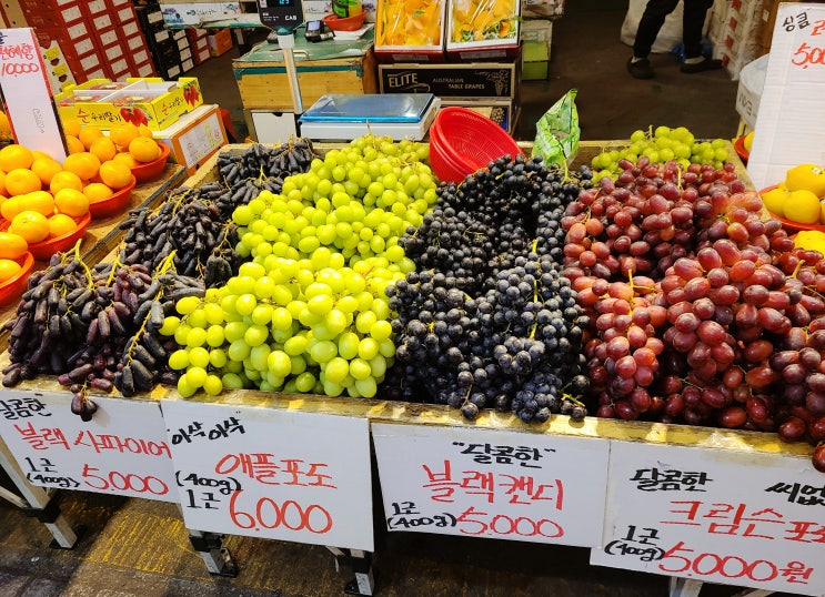 [청량리 전통시장] 강오상회 제철 과일/ 총각회수산 땅콩엿/ 무궁화 꽃이 피었습니다 반찬가게/ 성남순대 순대 도매/ 참조은콩 ...