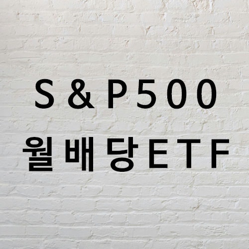 S&P500 투자하는 월배당ETF. ACE 미국500데일리타겟커버드콜(합성) : 네이버 블로그
