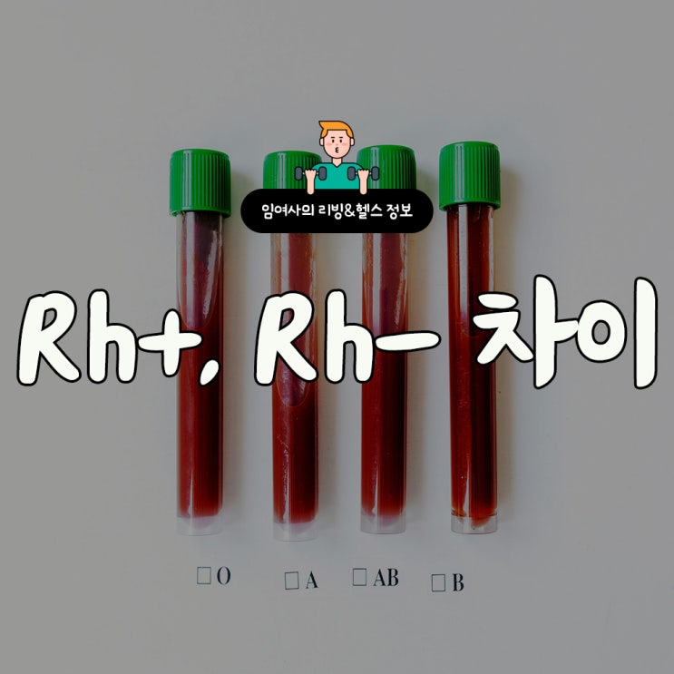 Rh+ Rh- 혈액형 차이 아기 임신 영향 주의할 점 : 네이버 블로그
