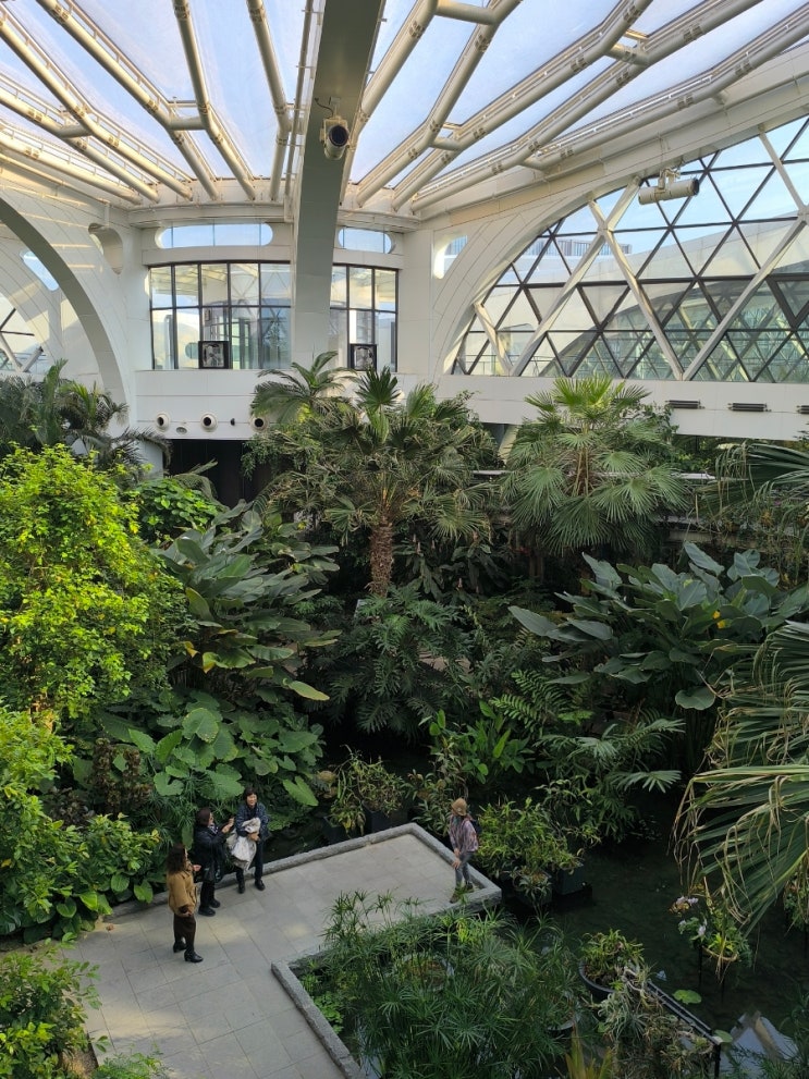 [견학] 서울식물원 - 늦겨울 (2) 온실 : 네이버 블로그