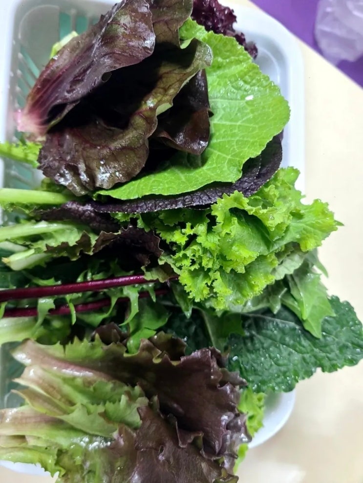 [판매] ☆할인☆꽉!! 채운 GAP인증 쌈채소~"만원의 행복" 《랜덤쌈1kg》 12일 목요일 발송 30박스 주문주세요~^ ^ : 네이버 블로그