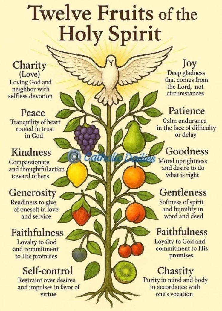 Twelve Fruits of the Holy Spirit : 네이버 블로그