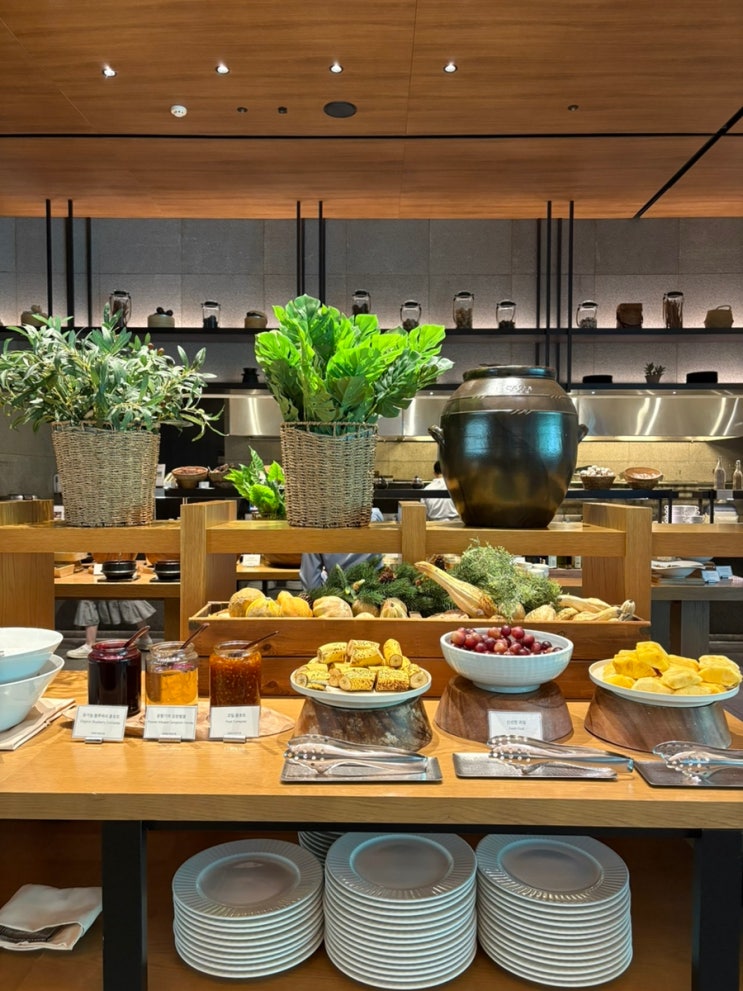 250522 - 250524 / 강원도 정선 파크로쉬 여행 2 : 네이버 블로그