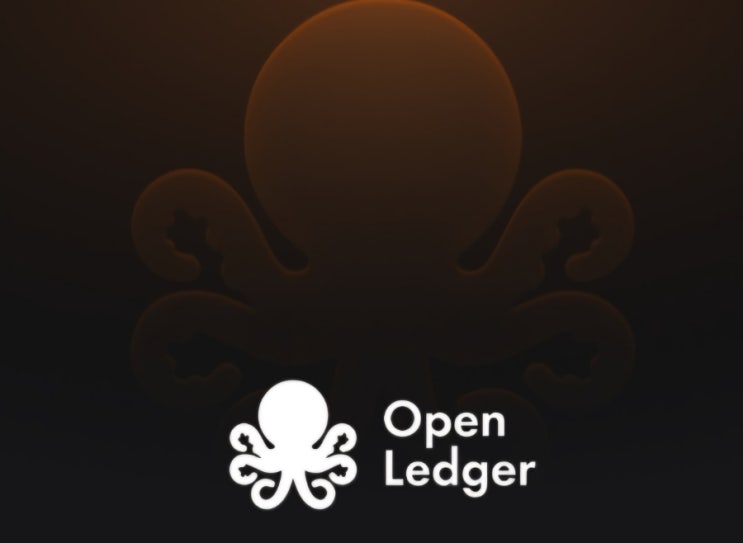 🚀 2025년 주목해야할 미상장 프로젝트! 무료 노드 가능한 OpenLedger (오픈렛저) : 네이버 블로그
