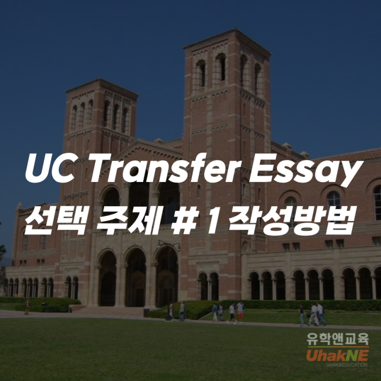 [UCLA 버클리 편입] 에세이 Essay 작성방법: 선택 주제 1 : 네이버 블로그