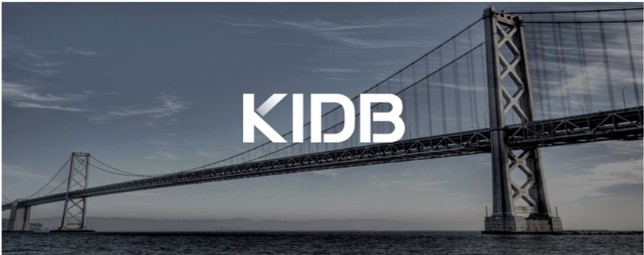 KIDB 신입 채용공고 완벽 분석 | IT부문 채용연계형 인턴십 모집 상세 정보 : 네이버 블로그