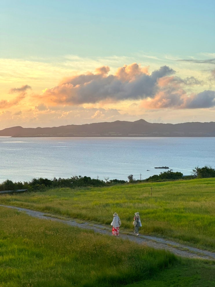 일본 오키나와현 이시가키 섬 여행 마지막 날, 이시가키 공항 기념품 쇼핑, 야에야마 겐키 : 네이버 블로그