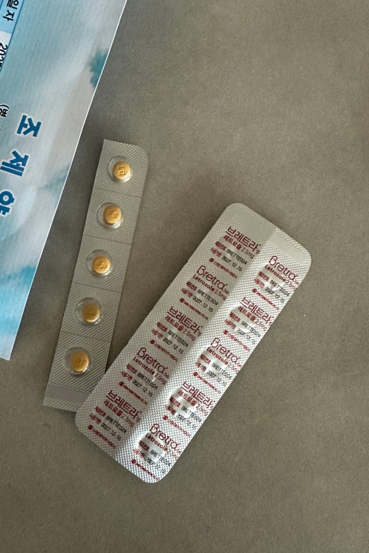 첫 배란유도제 그리고 난포주사 : 네이버 블로그