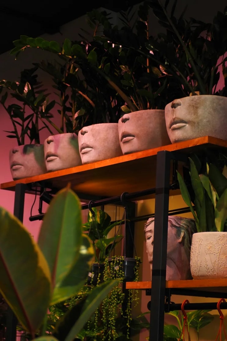 마사 누스바움(Martha Nussbaum)/현대 철학자/역량 접근(capability approach)’ 이론/정의와 인간의 ...