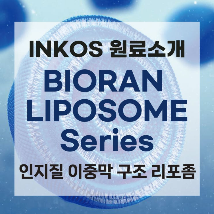 [원료소개]BIORAN LIPOSOME SERIES | 더 빠르게, 더 깊게 전달되는 기능성 성분, 리포좀 시스템 : 네이버 블로그
