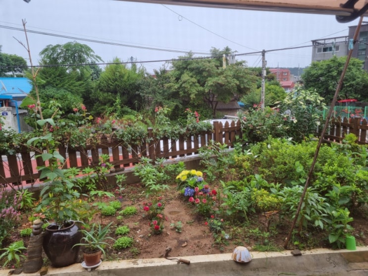 빗소리가 잠을 불러요 : 네이버 블로그