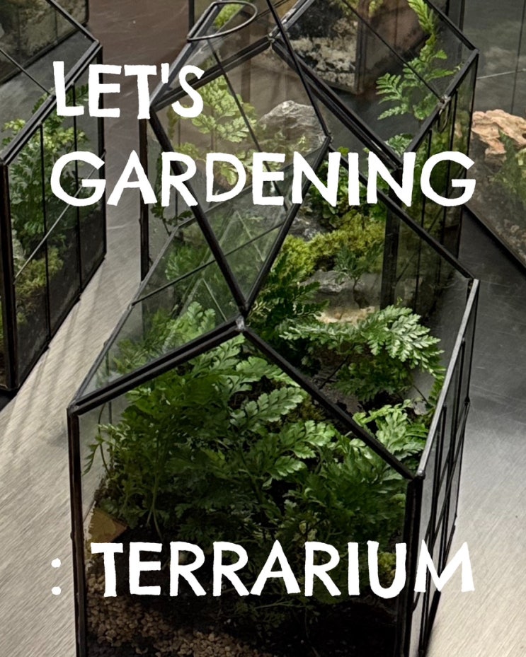 [수풀정경] 기업출강 : 테라리움 클래스 : 네이버 블로그