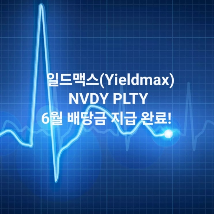 일드맥스(Yieldmax) NVDY PLTY 6월 배당금 지급 완료! : 네이버 블로그