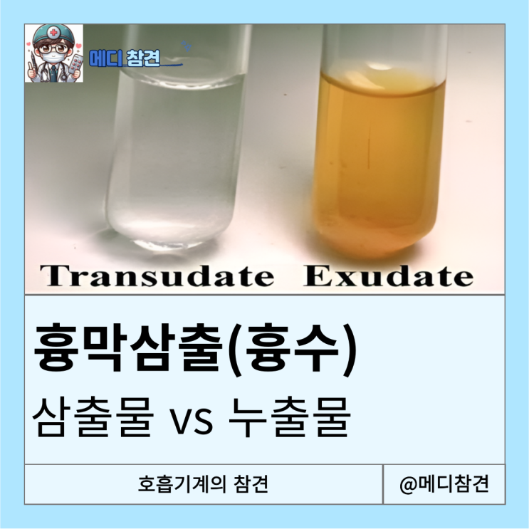 pleural effusion transudate exudate 의학용어 : 네이버 블로그