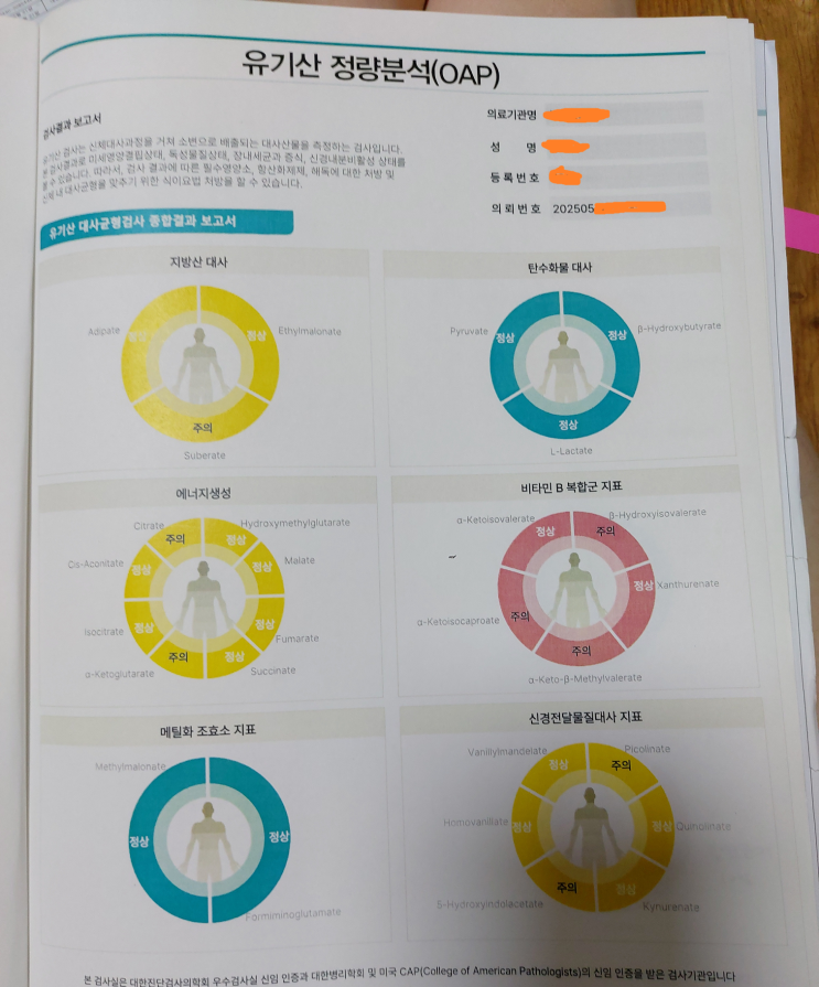 장내 세균 과증식의 재발_ 유기산 검사 결과 : 네이버 블로그