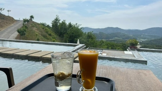 [보령 1박 2일 여행] 🍵보령 대형 카페 갱스커피 솔직후기 | 마운틴뷰 블루리본 : 네이버 블로그