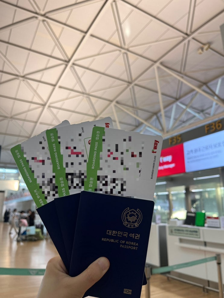 [호주/시드니] 티웨이항공 인천-시드니 비즈니스 후기|TW501, 에어버스 A330-300, 기내식 : 네이버 블로그