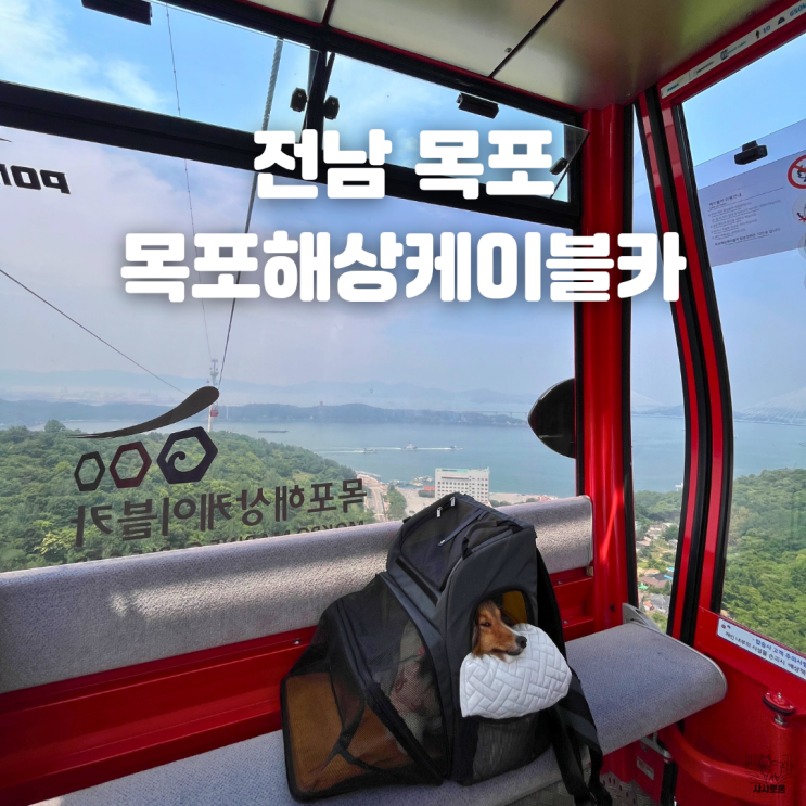 전남 목포 해상케이블카 애견 요금 타는곳 할인 : 네이버 블로그
